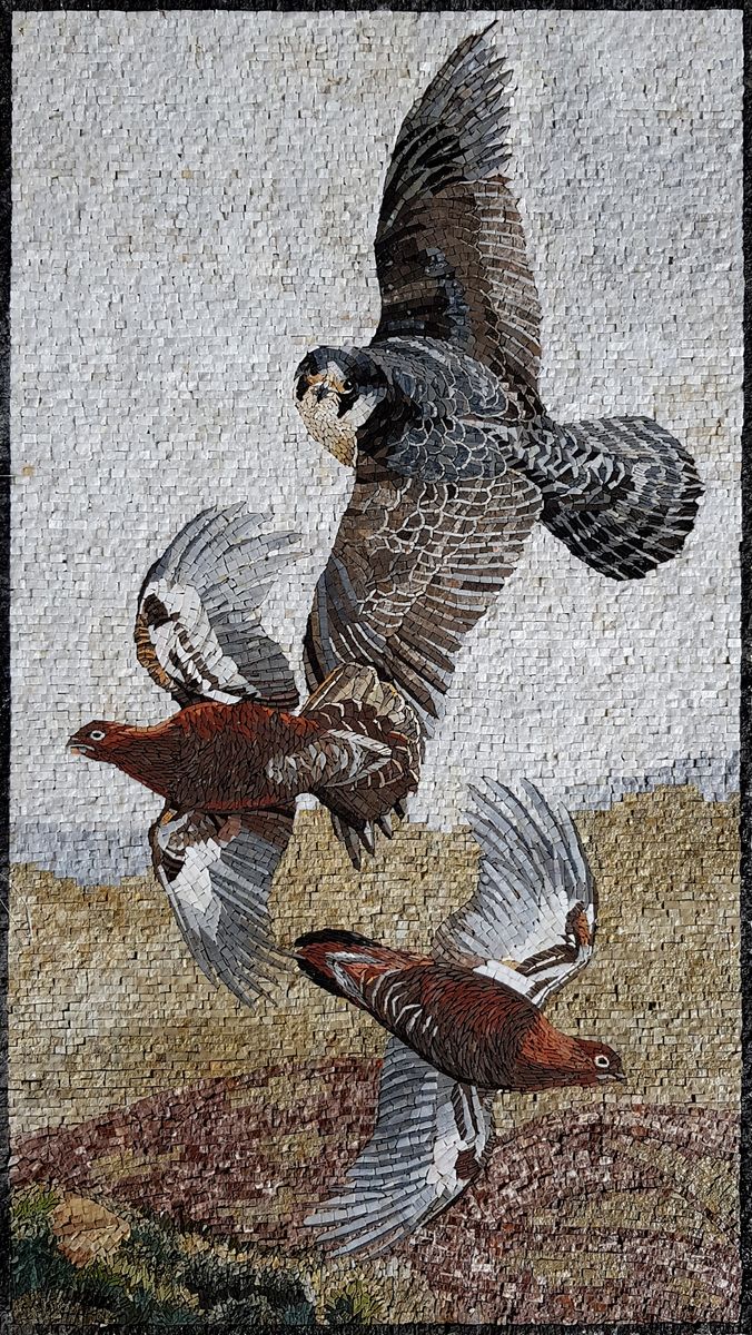 Large Birds in Flight Mosaic - Mosaic Natural