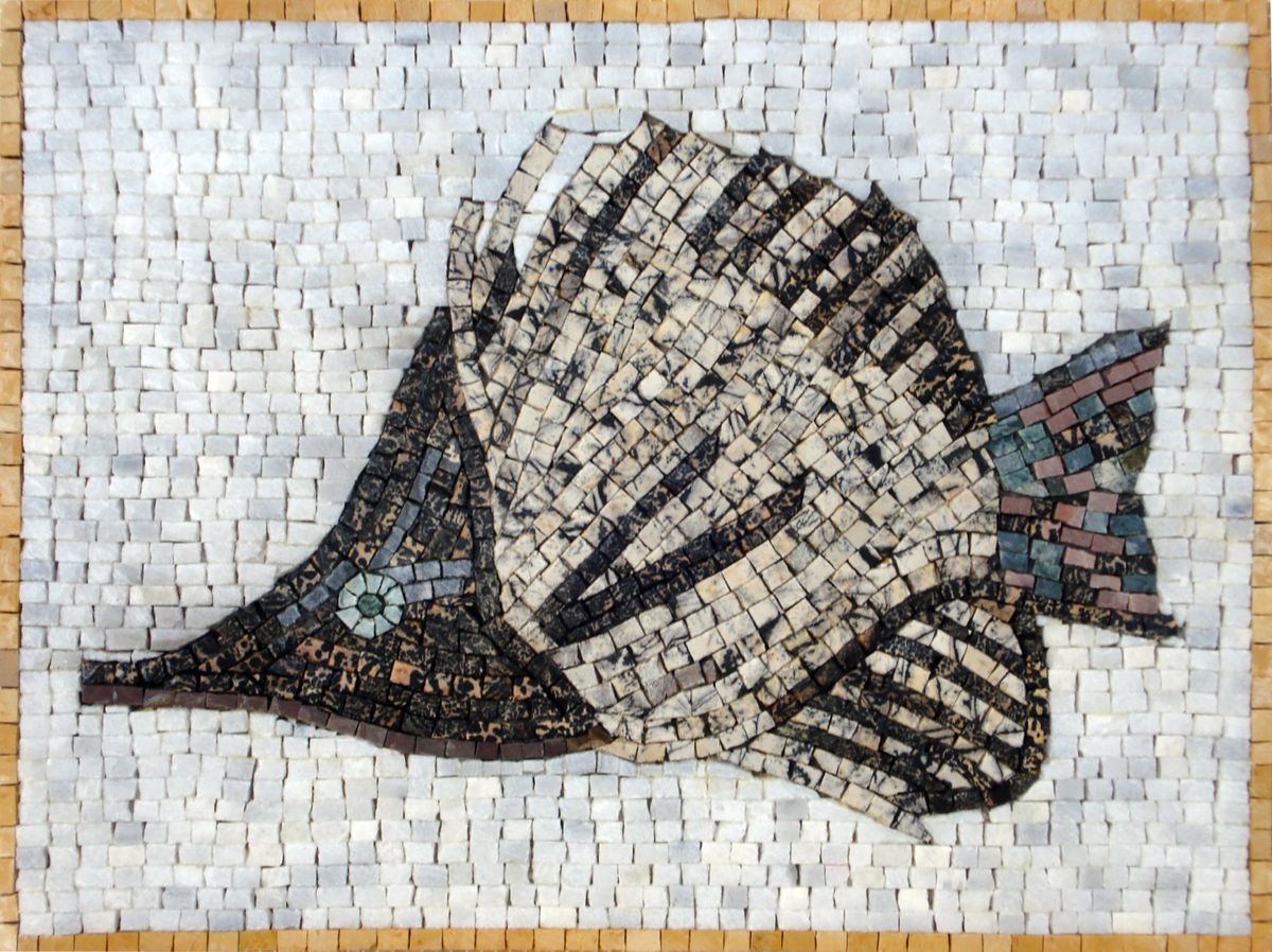 Butterfly Fish Mosaic - Mosaic Natural