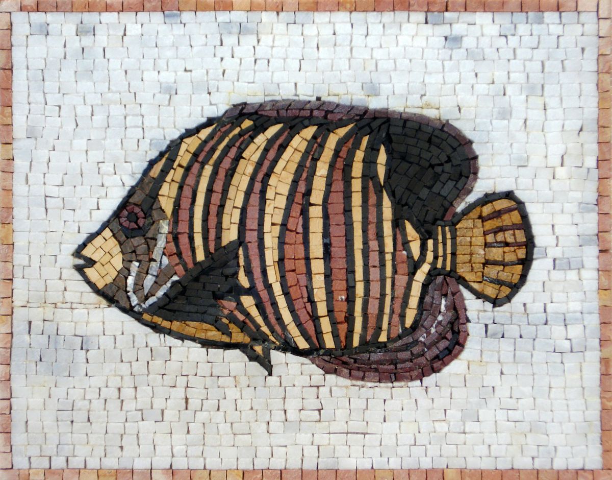 Striped Tang Mosaic - Mosaic Natural